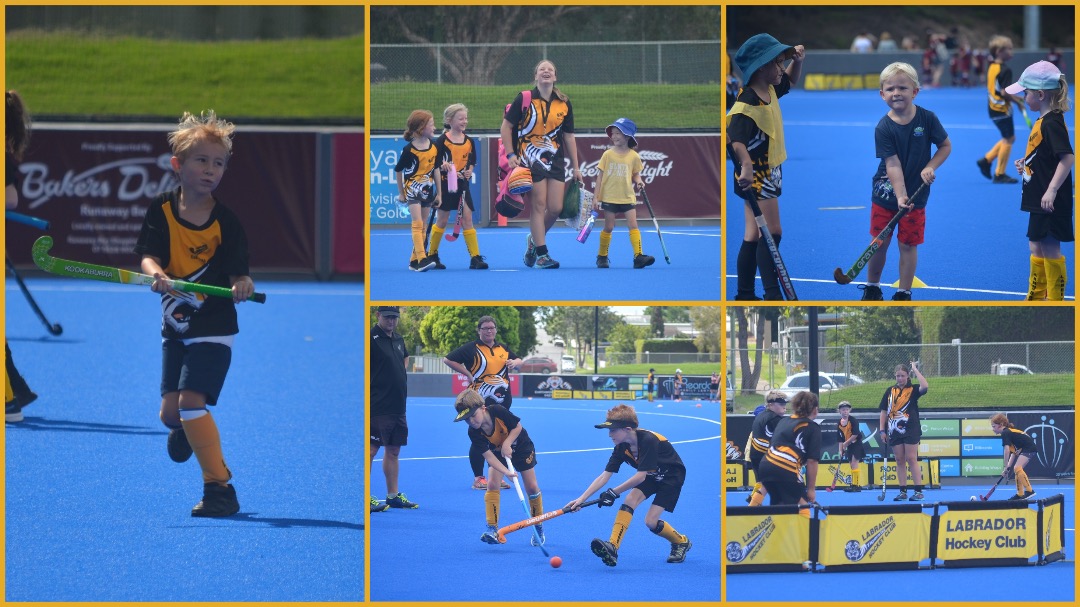 2021 Tigerstix Junior Development Program – Tigerstix Hockey Club